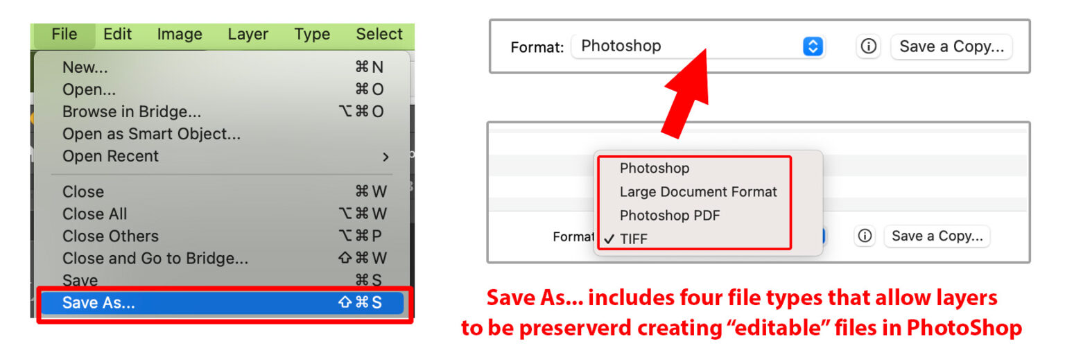 PhotoShop and PDFs | Designer to Fullstack
