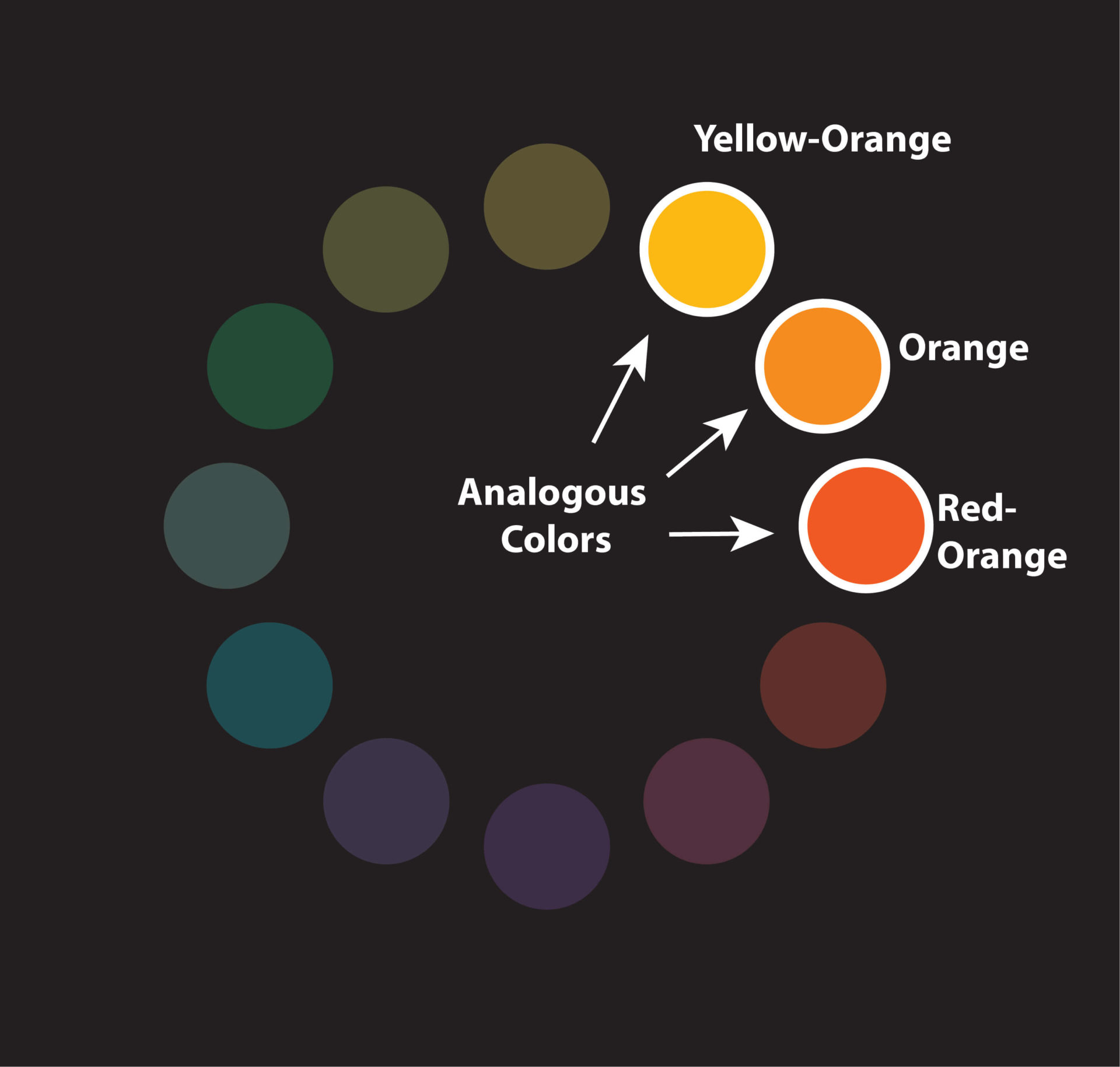 How to create a Color Wheel | Designer to Fullstack
