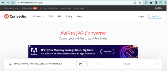 What is an AVIF file, and how to open it? | Designer to Fullstack