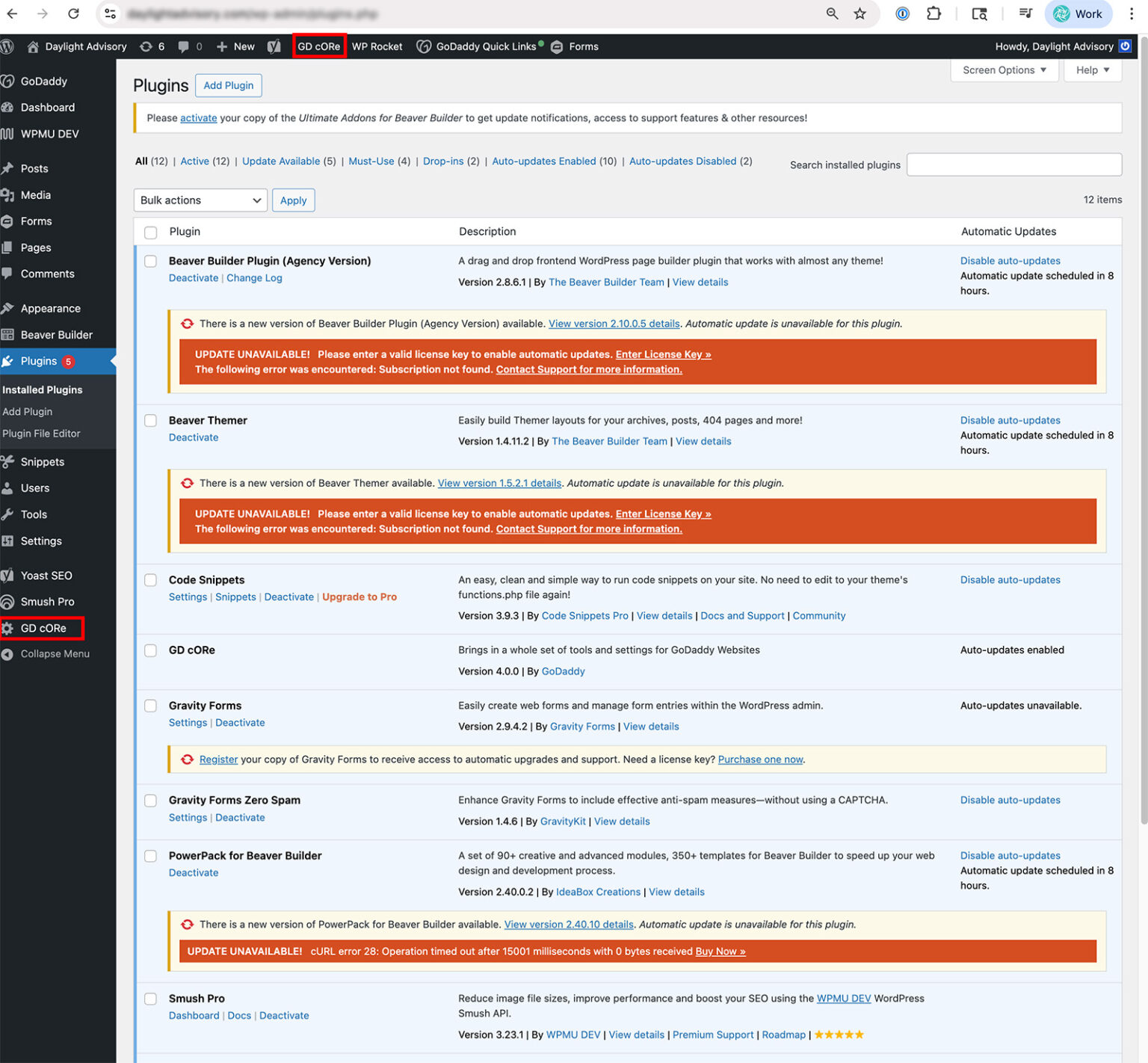 How to Update Premium Plugins on a GoDaddy-Designed WordPress Site (The ...